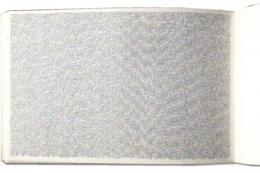 Mike & Doug Starn | Ani-San, samukaro? Omae samukaro? | 2007/2008 ...