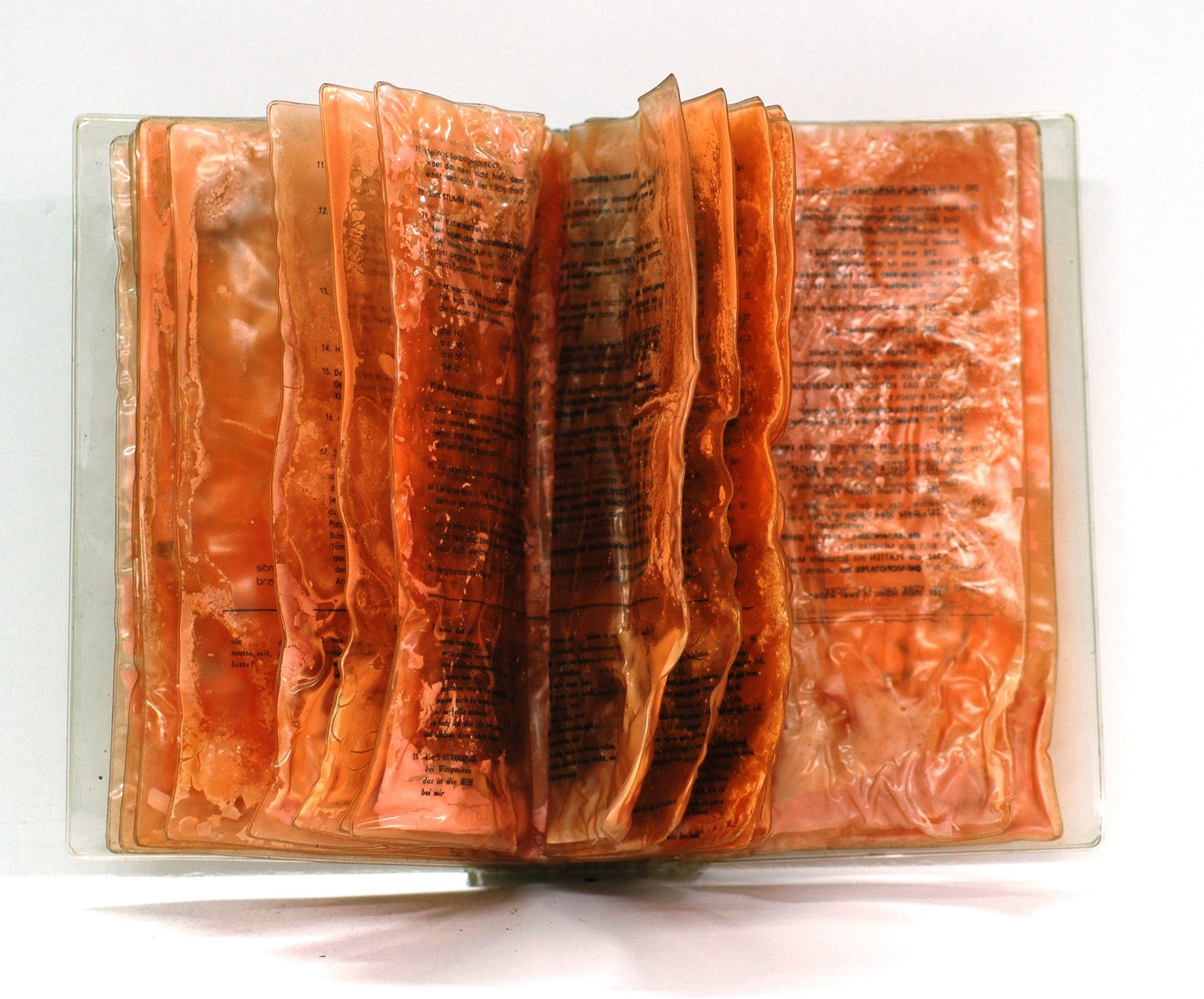 Dieter Roth | Literaturwurst | 1968 | Zucker Art Books