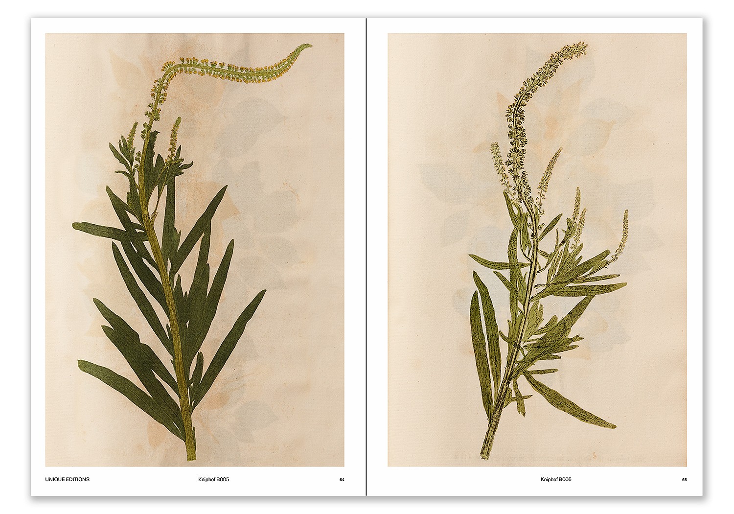 Matthew Zucker & Pia Östlund | Works | Zucker Art Books